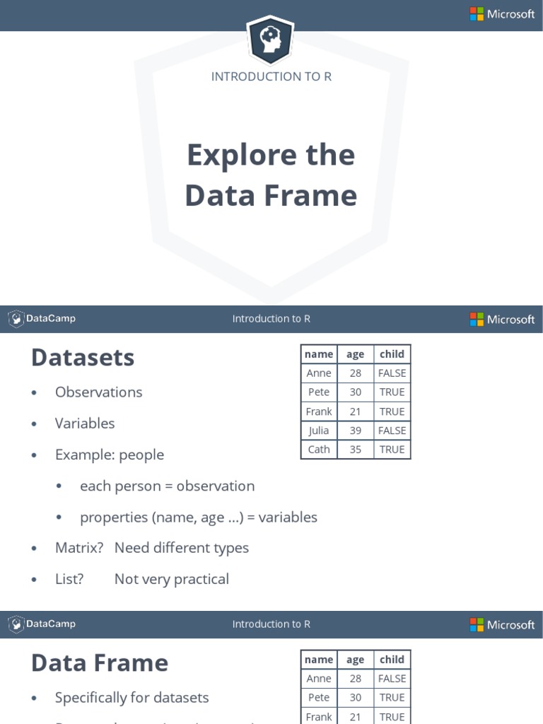 Explore The Data Frame | PDF