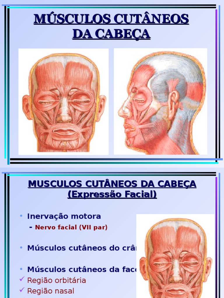 Músculos Cutâneos da Cabeça e Face | PDF | Rosto | Olho humano