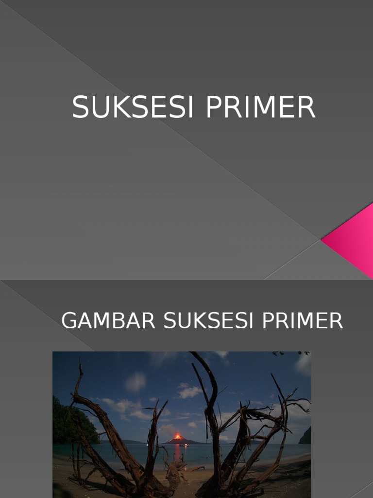 Suksesi Primer Pdf