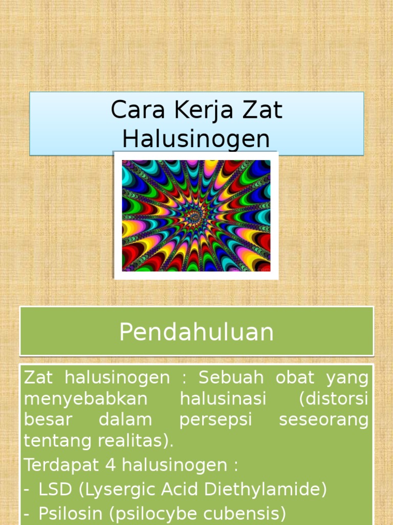 Cara Kerja Zat Halusinogen | PDF | Kesehatan Holistik