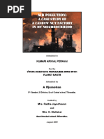 Air Pollution: Project Report | PDF | Air Pollution | Particulates