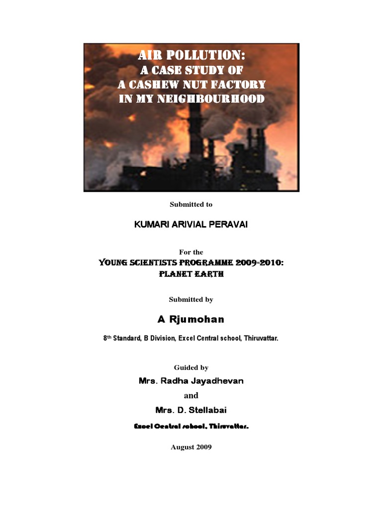 Project Report On Air Pollution | PDF | Occupational Safety And Health ...