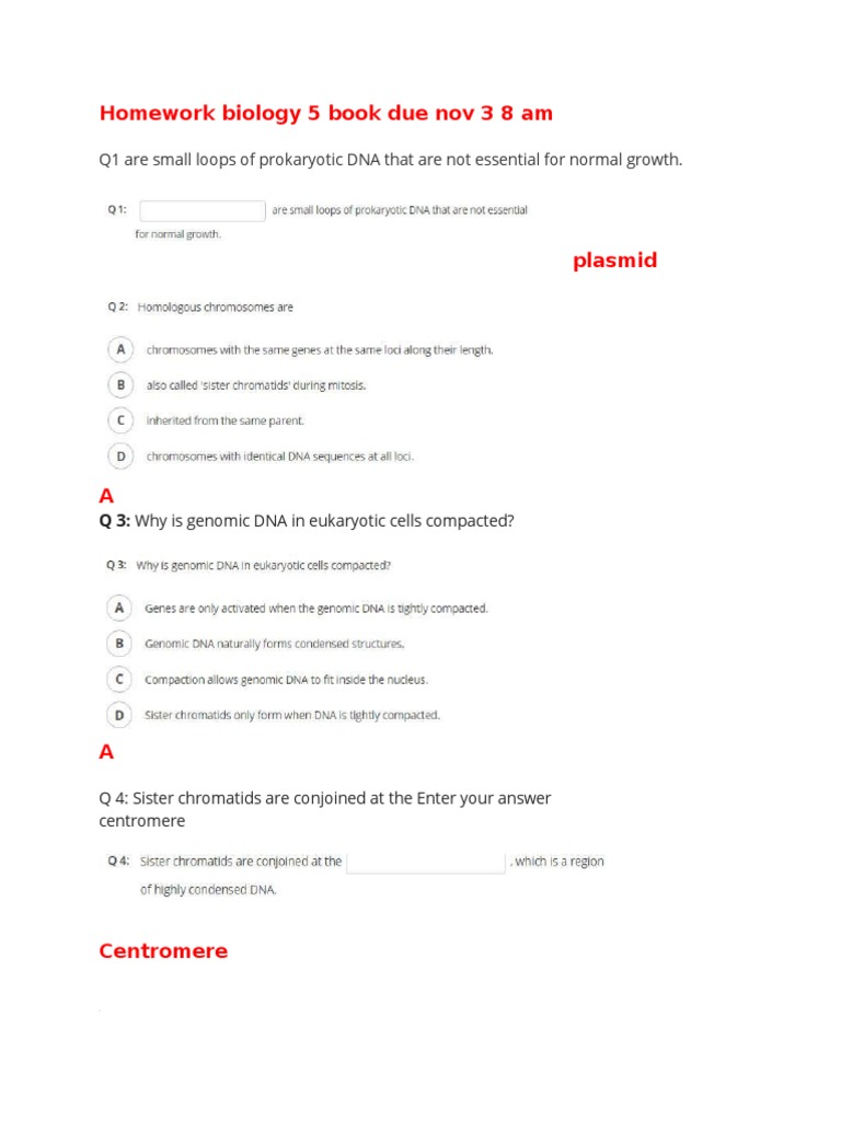 Bank Test Biology OCTOBER 2016 Chapter 10 Cell Reproduction | PDF