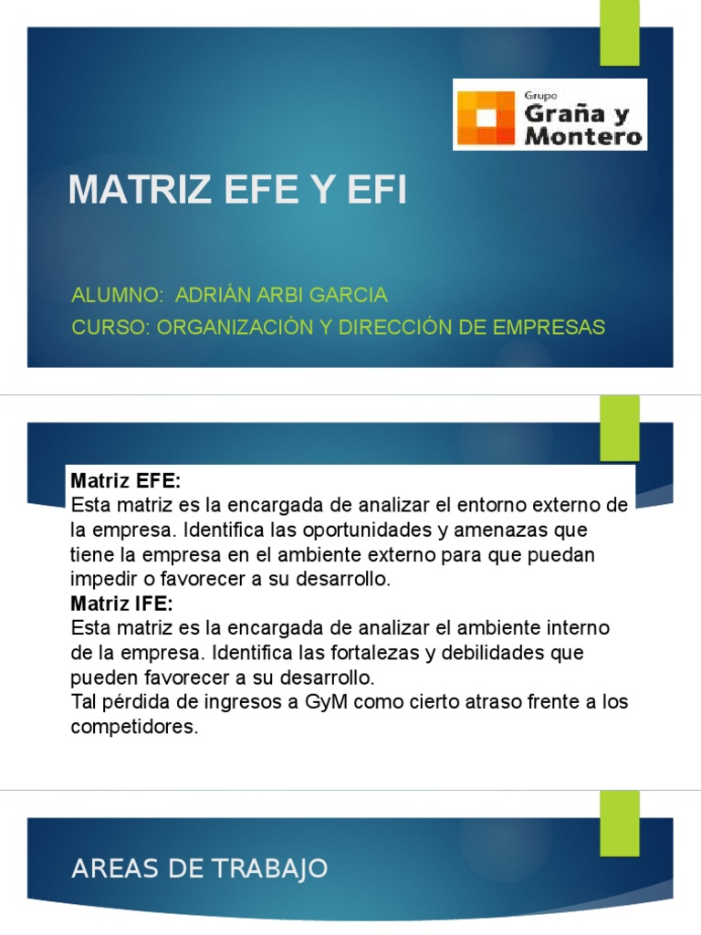 Matriz Efe y Efi | Marketing | Planificación
