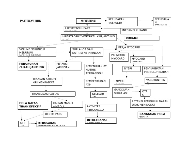 Pathway HHD | PDF | Kesehatan Holistik
