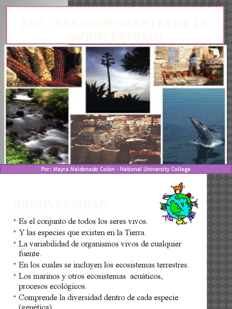 Los Tres Componentes de La Biodiversidad | Biodiversidad | Ecosistema Los Tres Componentes de La Biodiversidad | Biodiversidad | Ecosistema