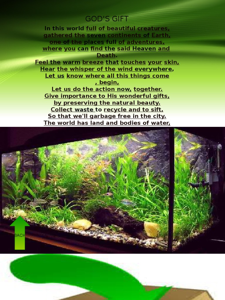 Hyperpoetry Using Powerpoint | PDF