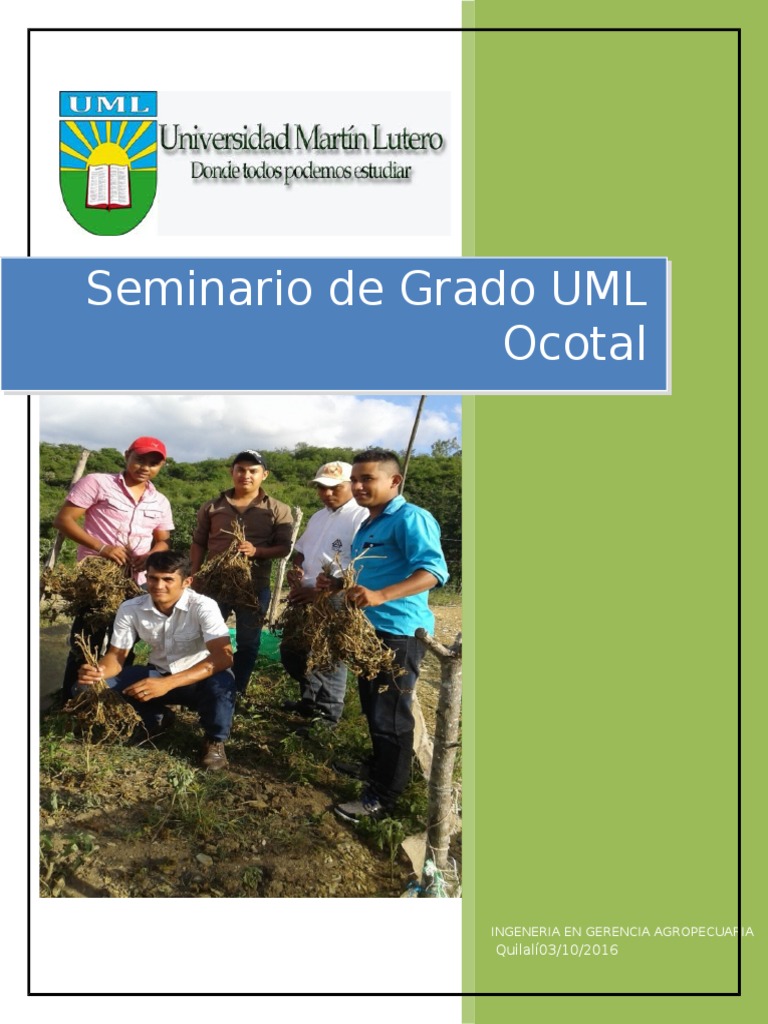 Seminario de Grado UML Ocotal | PDF | Nicaragua | Phaseolus Vulgaris