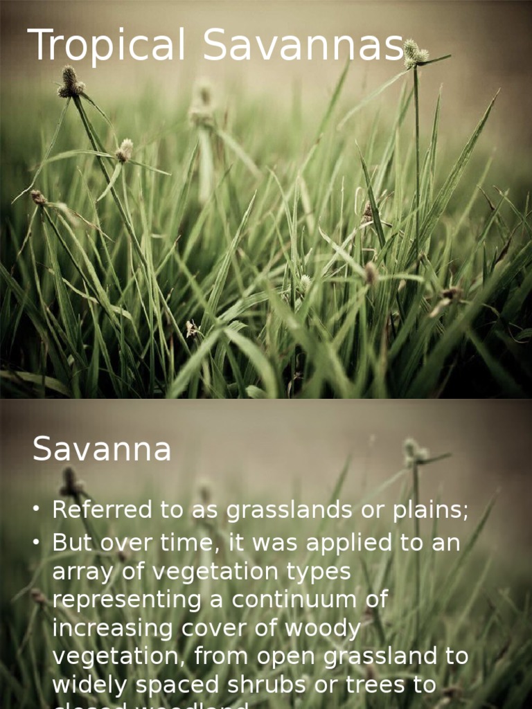 Understanding Tropical Savannas | PDF | Savanna | Grazing