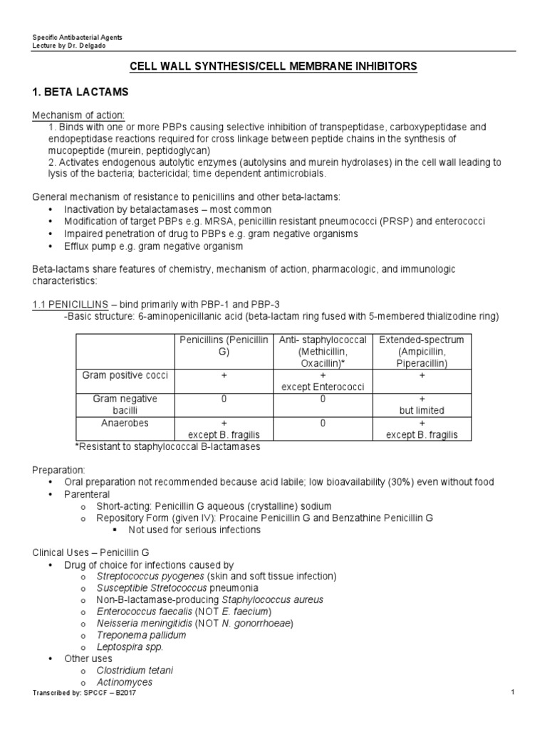 Specific Antibiotics Lecture Notes Pdf Penicillin Beta Lactamase