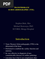 TTE TEE Report Template | PDF