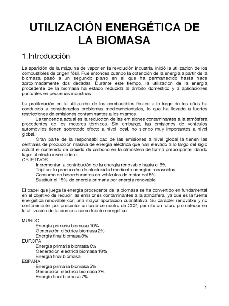 Resumen Biomasa | PDF | Biomasa | Biocombustible