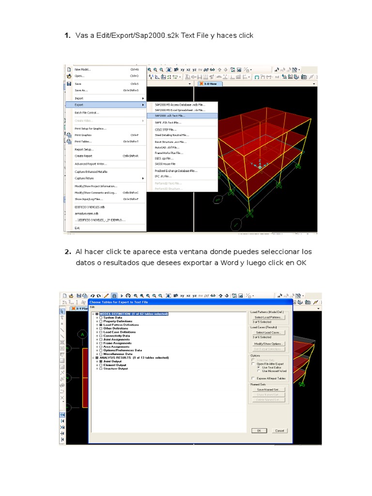 Exportar de Sap2000 v16 A Word | PDF