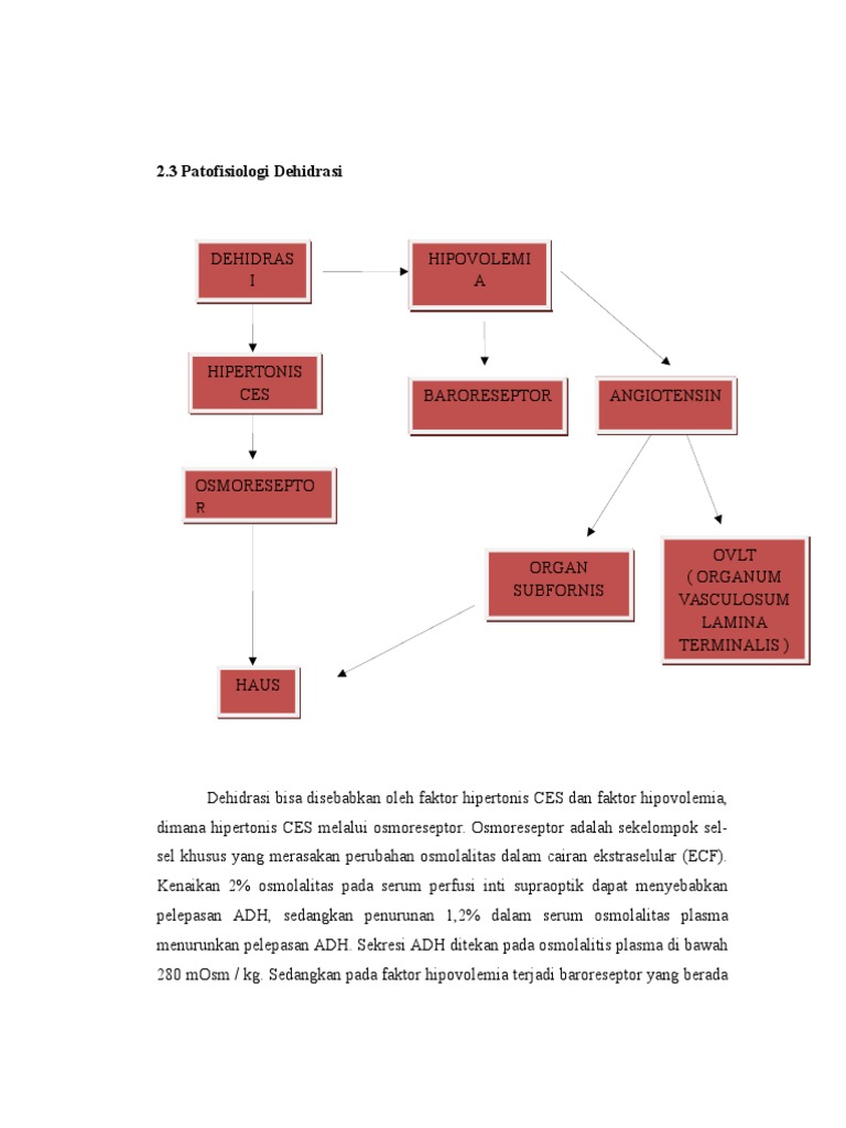 2.3 Patofisiologi Dehidrasi | PDF