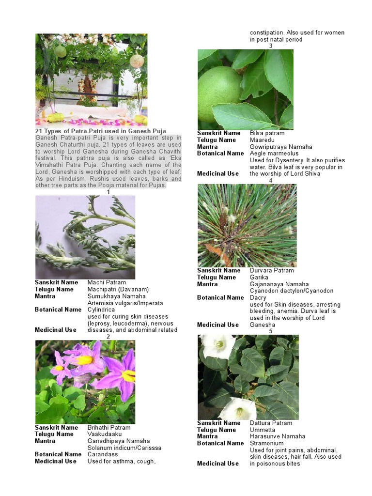 21 Types of Patra | PDF | Ayurveda | Wellness