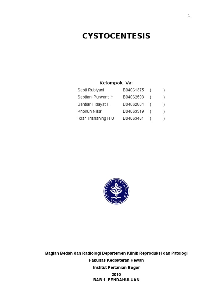 CYSTOcentesis | PDF