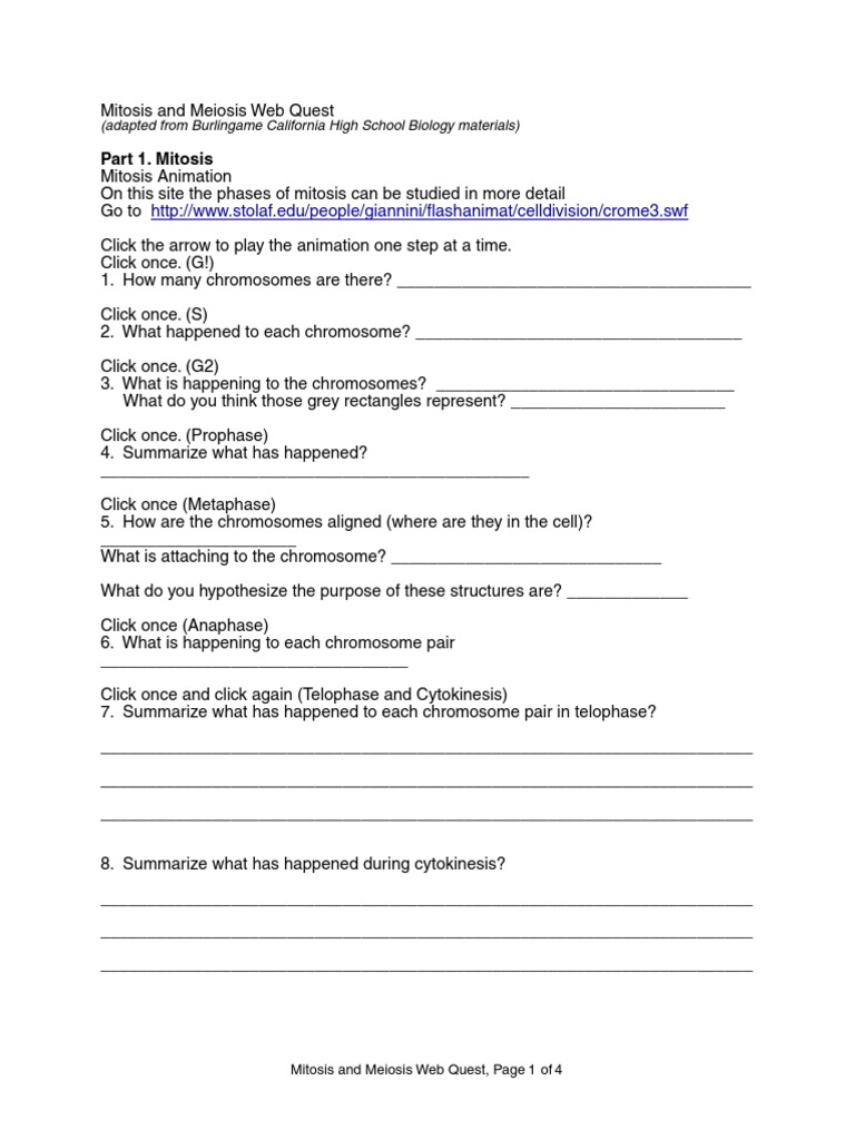 Mitosis and Meiosis Web Quest Guide | PDF | Meiosis | Mitosis