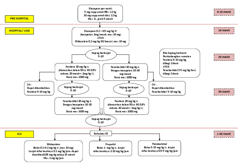 Alur Tatalaksana Kejang Updated PDF | PDF