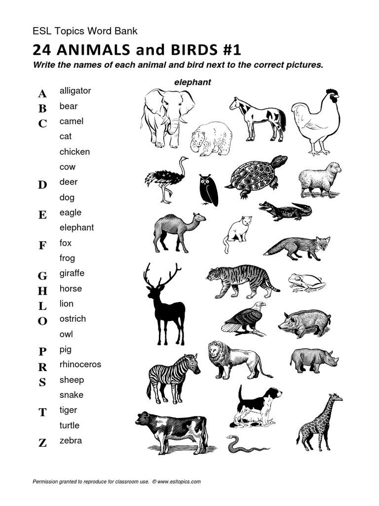 3.2 Esl Topics Word Bank Animals1 Pic | PDF | Organisms | Nature