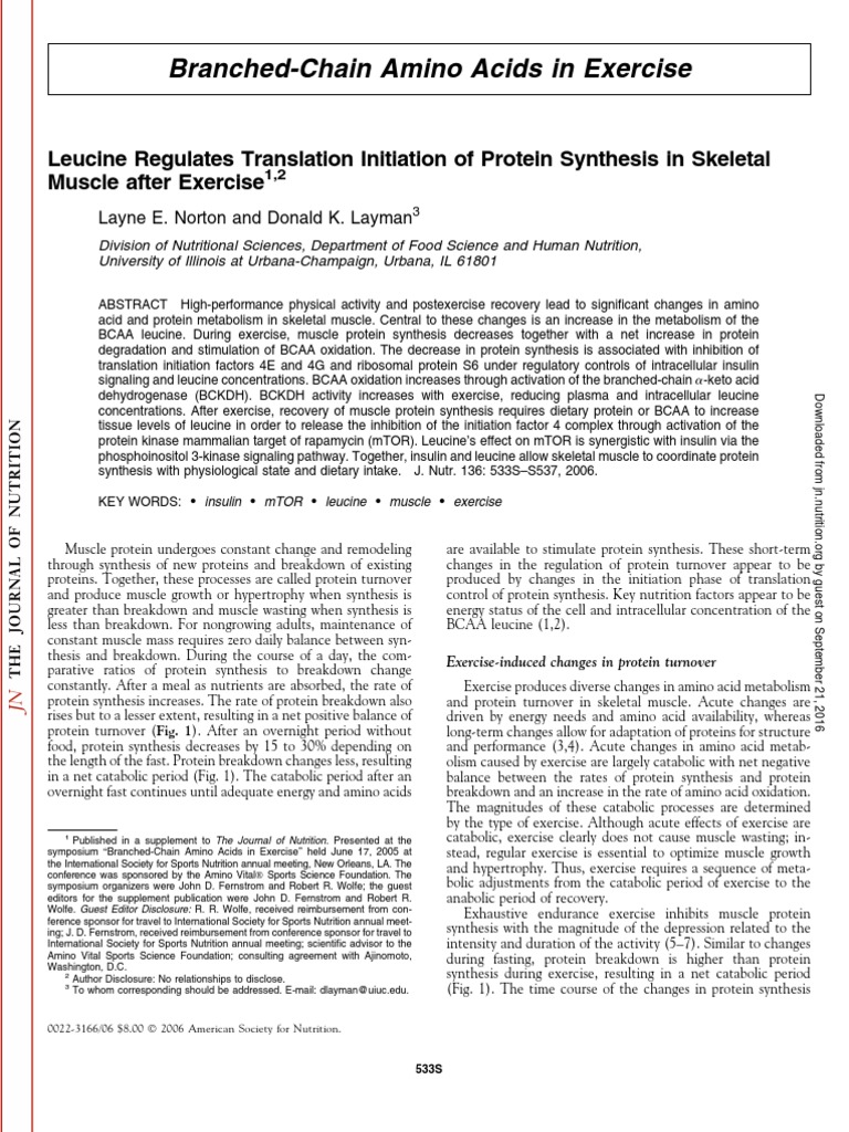 Asam Amino Leusin | PDF | Mechanistic Target Of Rapamycin | Leucine
