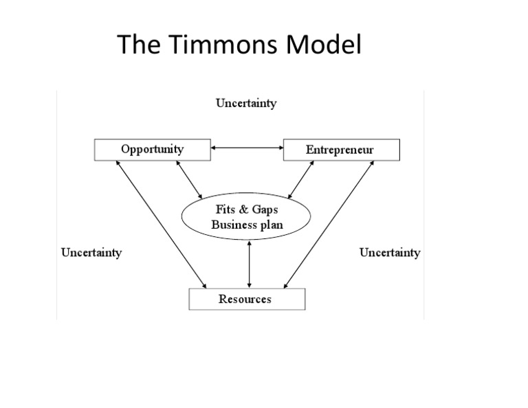 The Timmons Model: Uncertainty | PDF