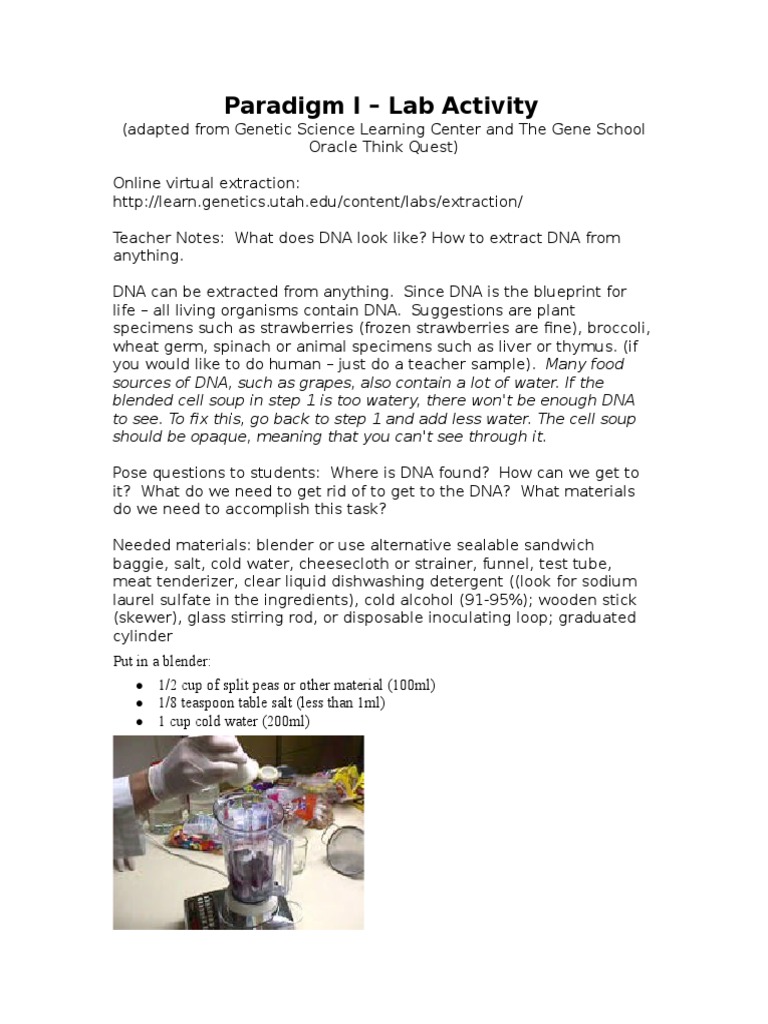 DNA Extraction Lab for Students | PDF | Dna | Ethanol