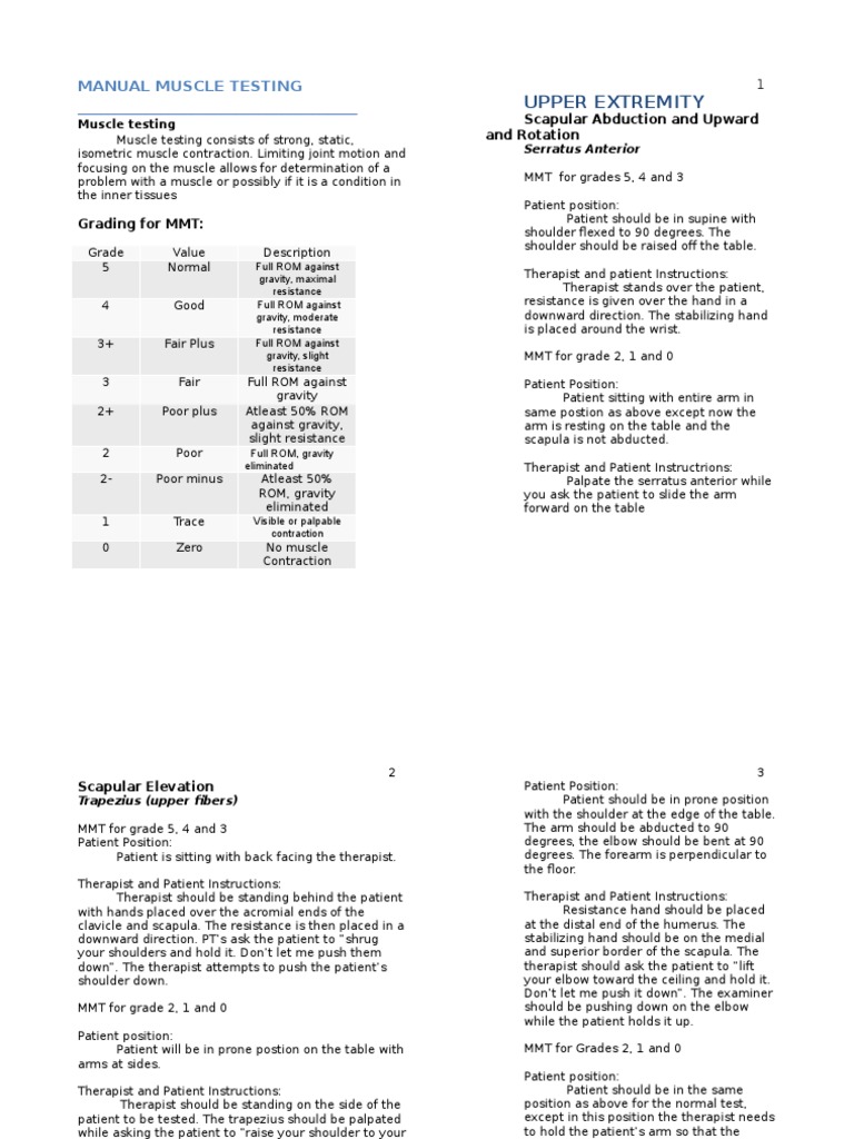 Manual Muscle Testing | PDF | Anatomical Terms Of Motion | Foot