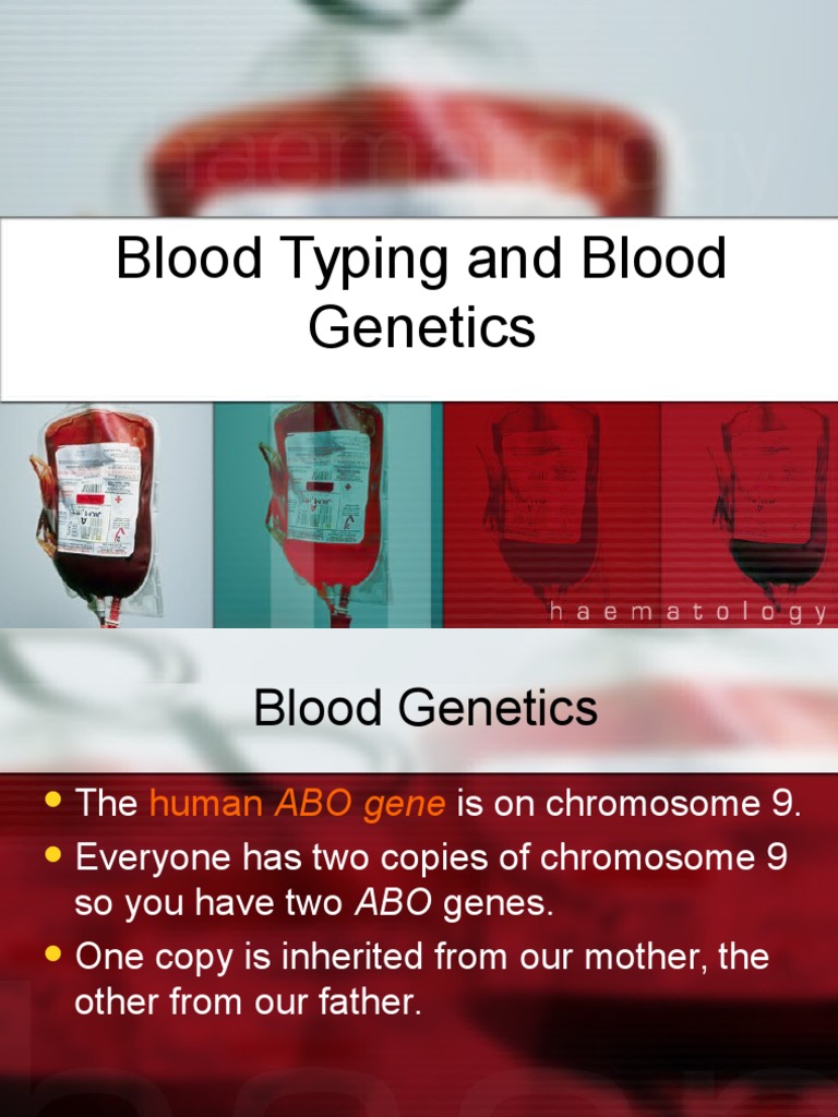 Blood Typing and Genetics | PDF | Allele | Dominance (Genetics)