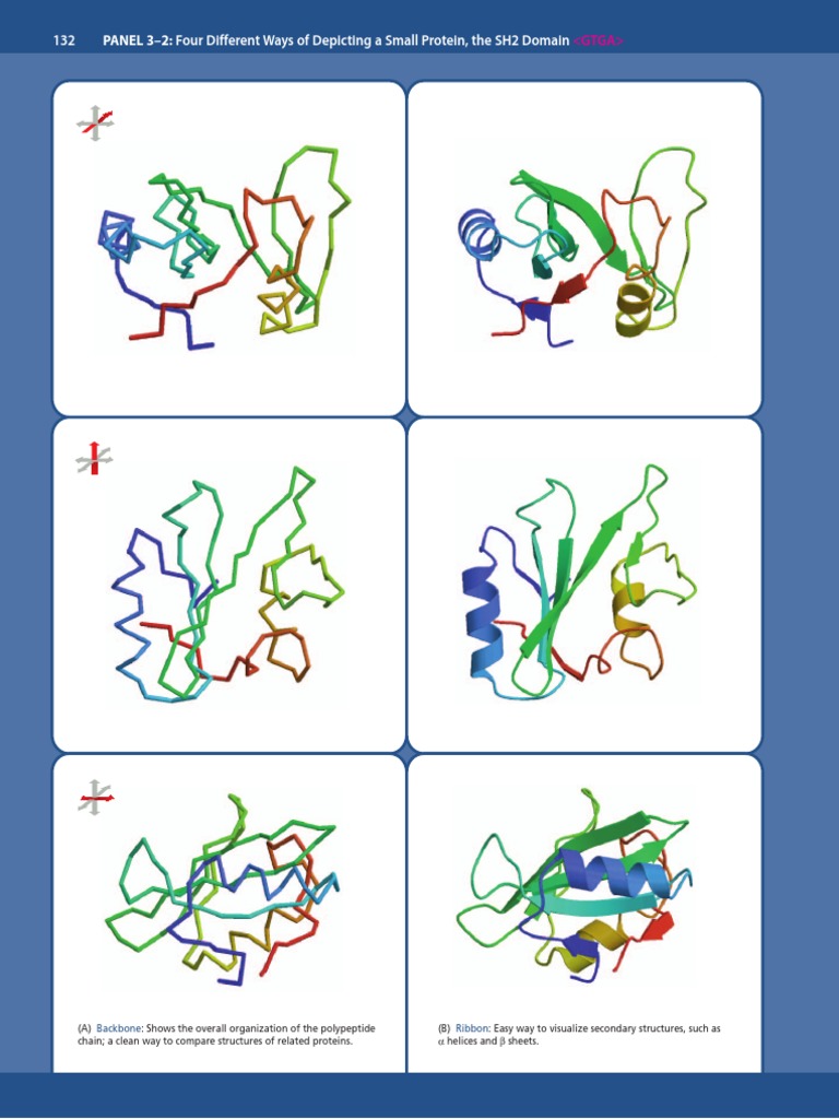 Depicting A Small Protein | PDF | Science & Mathematics