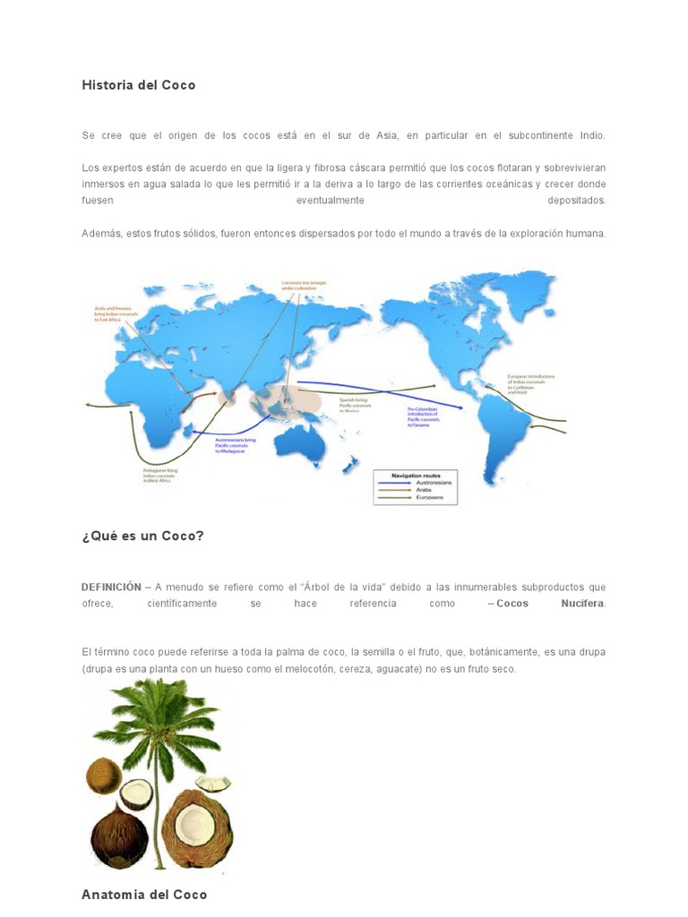 Historia Del Coco | PDF | Coco | Arecaceae