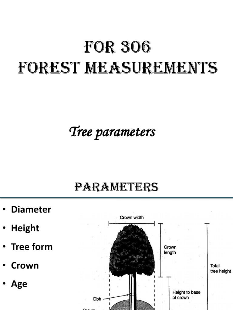 Forest Measurements | PDF | Pinophyta | Pine