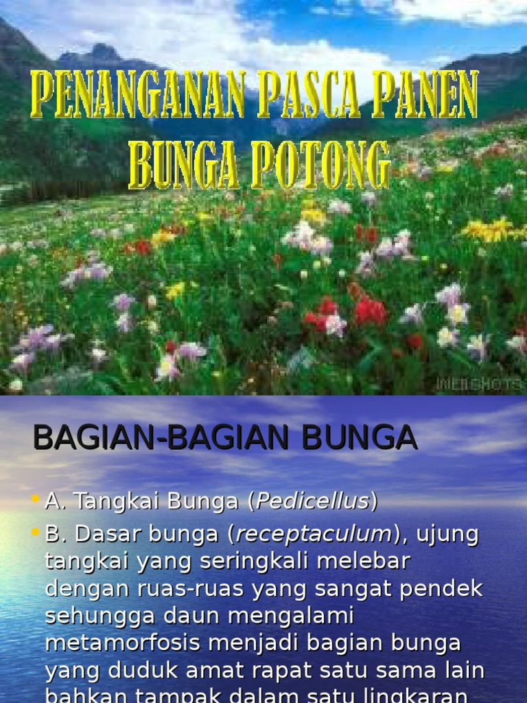 Pasca Panen Bunga Potong | PDF