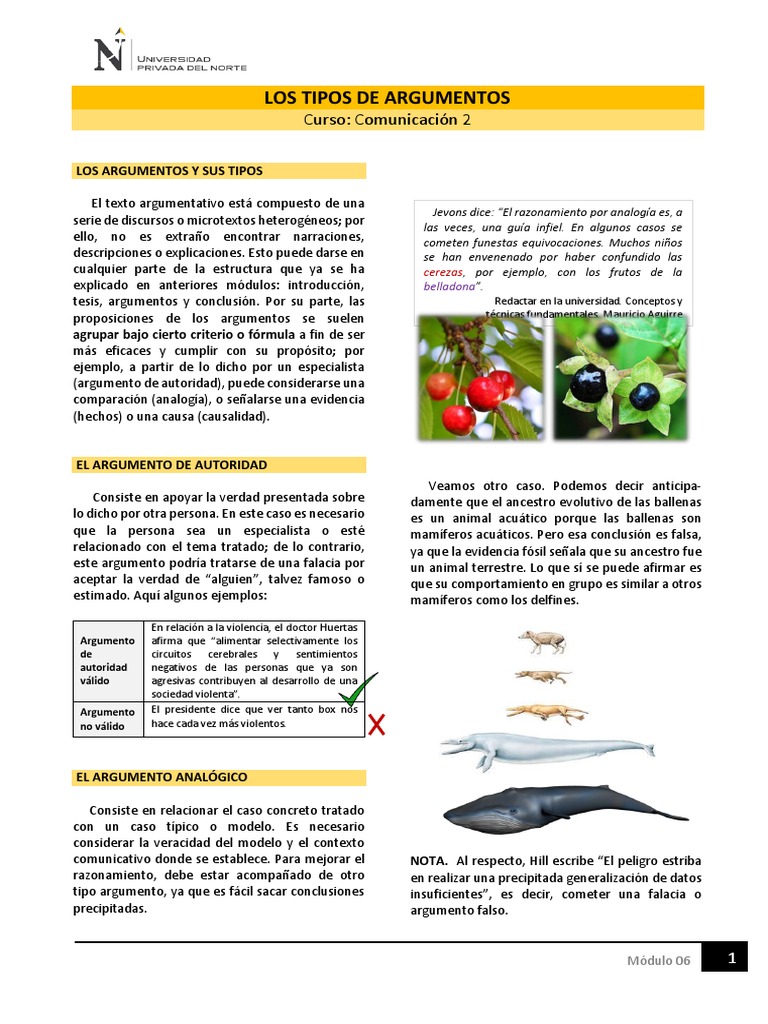 Lectura - Los Tipos de Argumentos | PDF | Argumento | Evidencia
