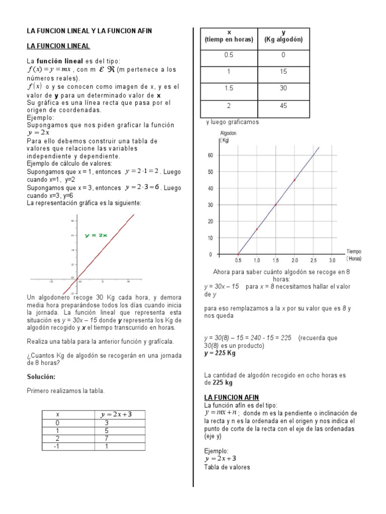 La Funcion Lineal y La Funcion Afin | PDF | Función (Matemáticas) | Línea (geometría)