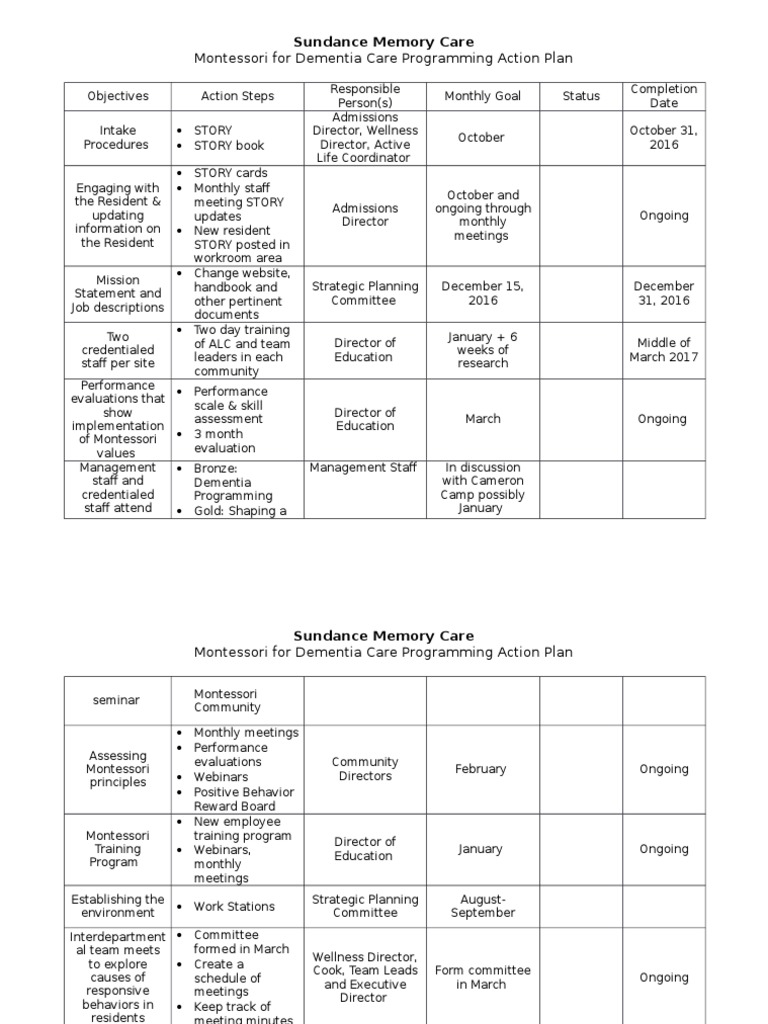 Montessori For Dementia Care Programming Action Plan | PDF | Cognition ...