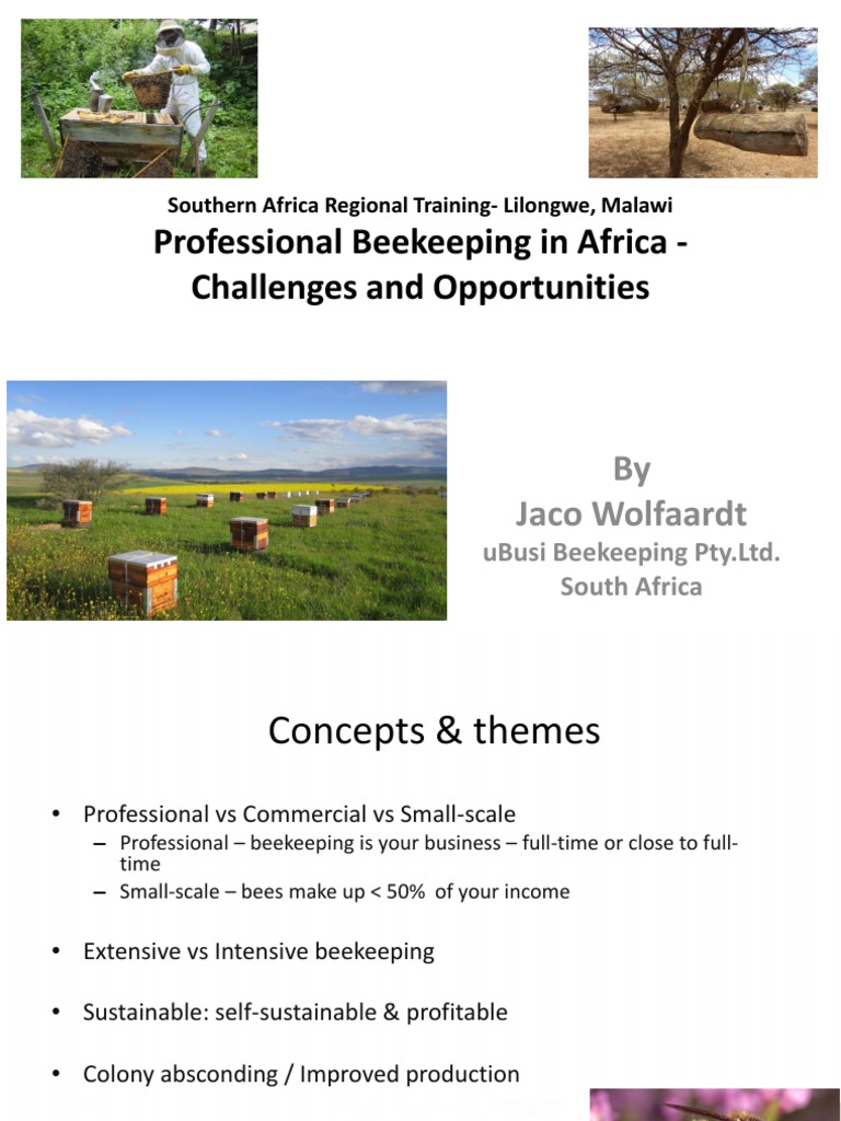 Regional Training Southern 2 Beekeeping Africa Malawi Training en | PDF ...