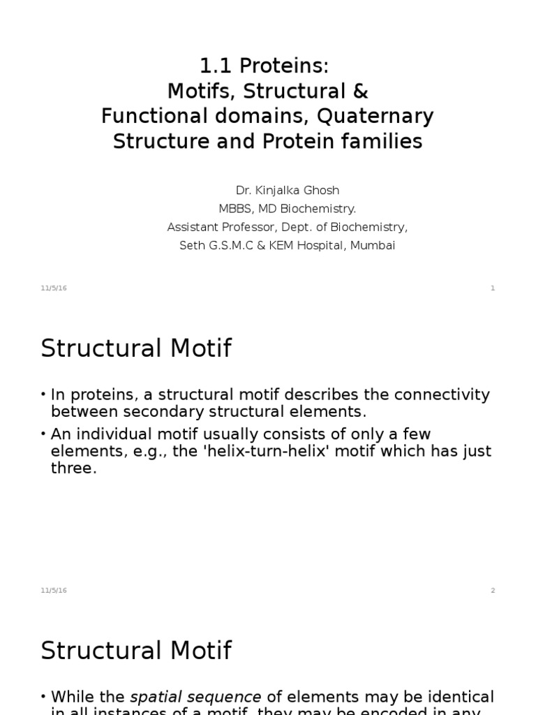 1.1 Proteins - Motifs Structural and Functional Domains Protein ...