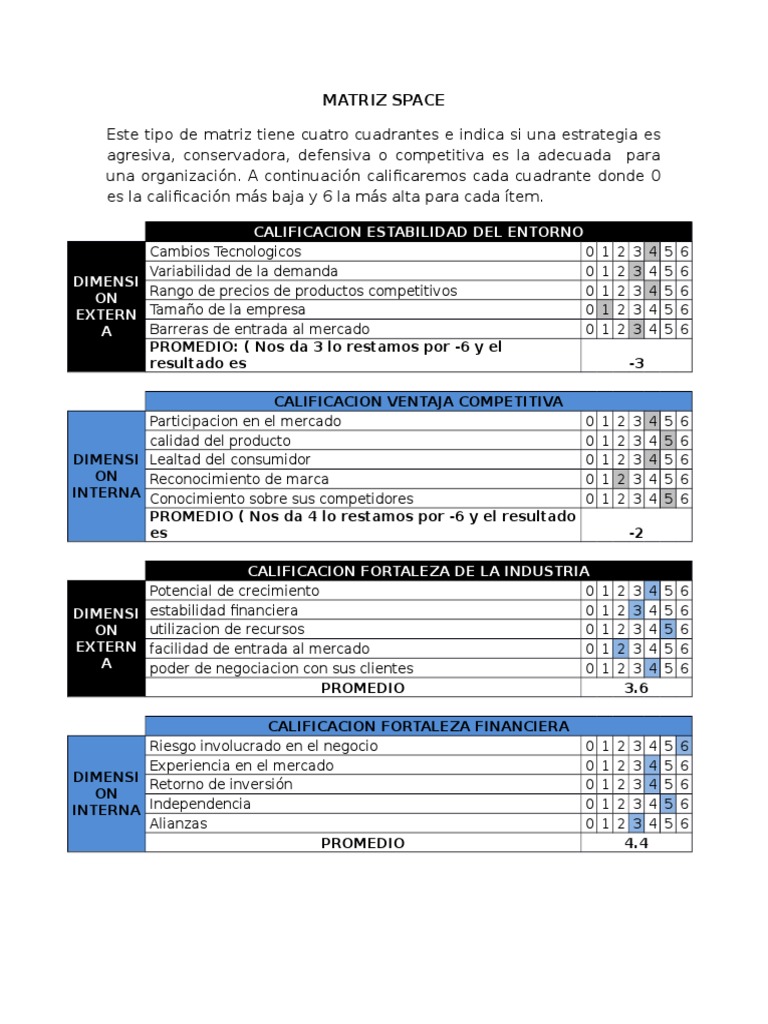 Matriz Space EJEMPLO | PDF | Mercado (economía) | Economias