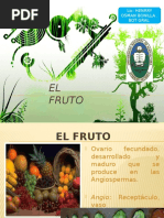 Fruto y Semilla | PDF | Plantas de jardín | Fruta