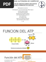 Funciones y síntesis del ATP en células | PDF | Trifosfato de adenosina ...