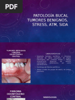 Microglosia y Macroglosia | PDF | Inflamación | Lengua
