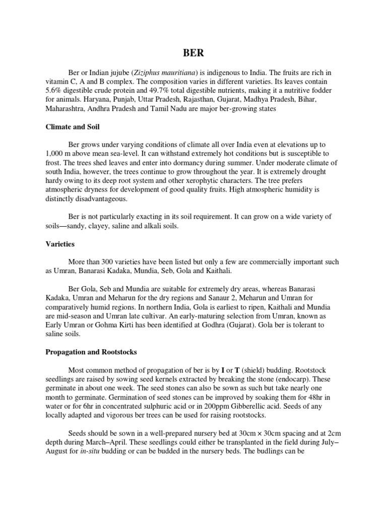 Ber | PDF | Pruning | Trees