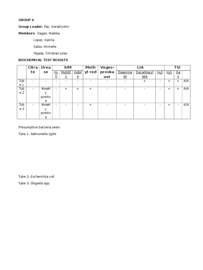 GROUP 6-Micro Biochem Results | PDF