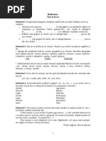 Predicatul Nominal, Fisa de Lucru | PDF