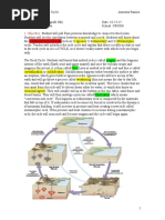 Rock Cycle Comic Strip | PDF | Rock (Geology) | Sedimentary Rock