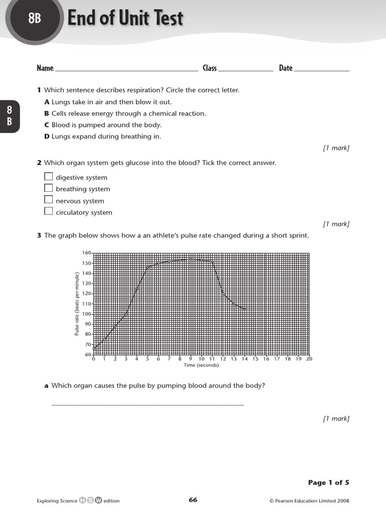 8b Test | PDF | Blood | Respiration