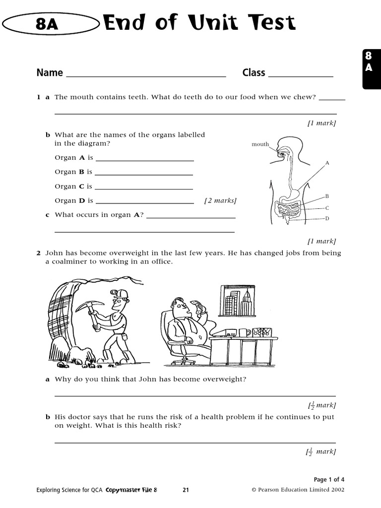 Food and Digestion Unit Test | PDF | Digestion | Dietary Fiber