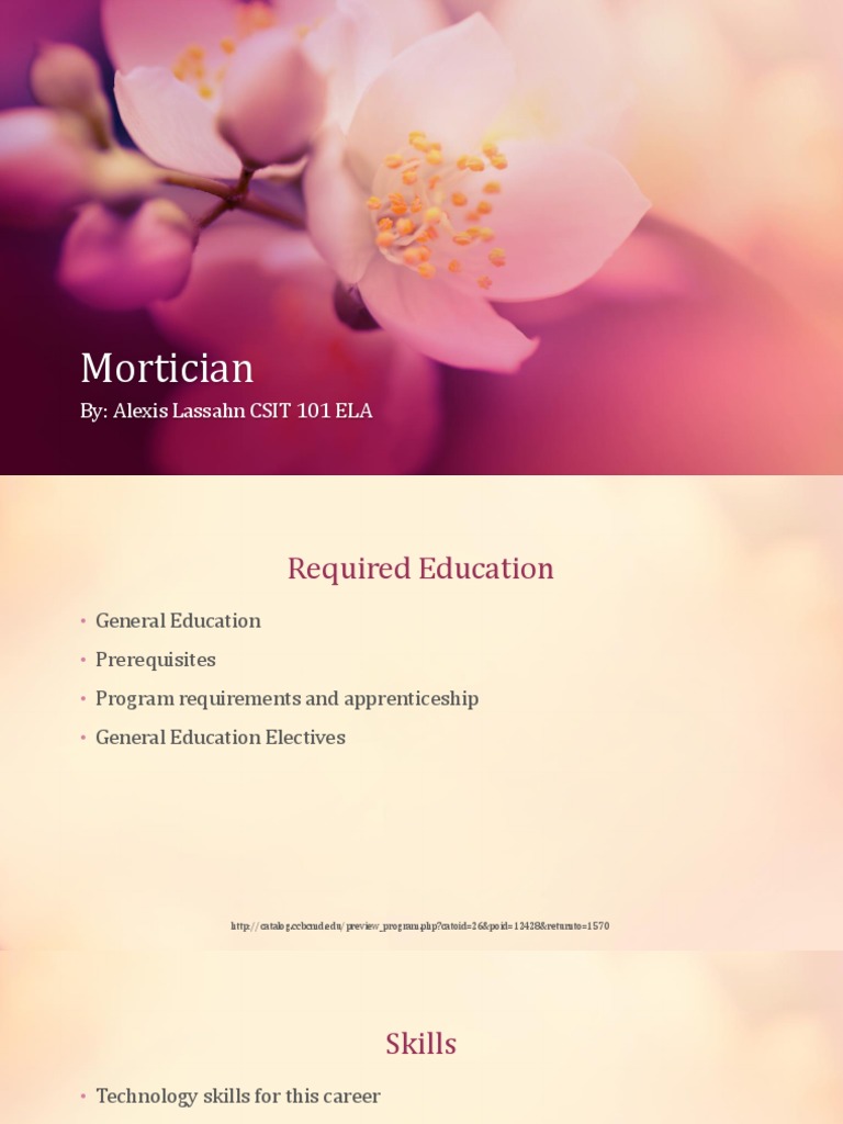 Lassahn Presentationassignment | PDF