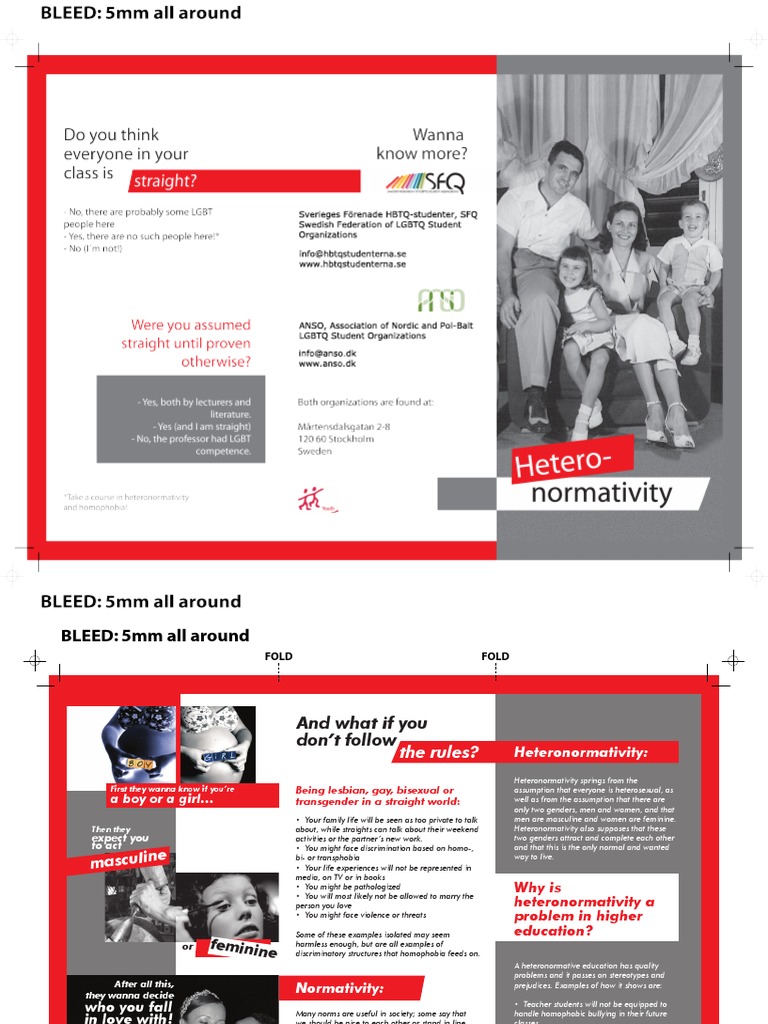 ANSO Heteronormativity Brochure | PDF | Homophobia | Discrimination