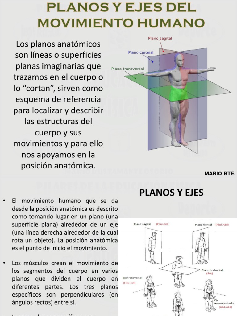 Planos y Ejes Corporales | PDF | Eje | Movimiento (física)